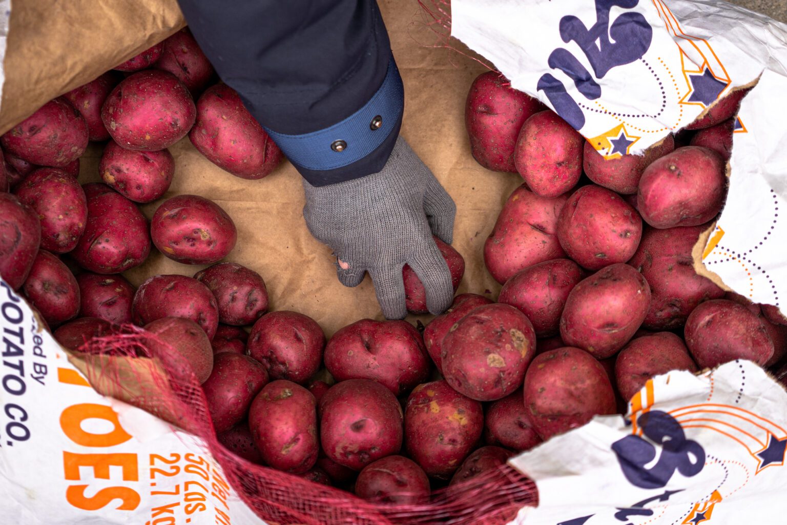 Borderless Magazine’s Favorite Photos of 2023 – Borderless Magazine NFP