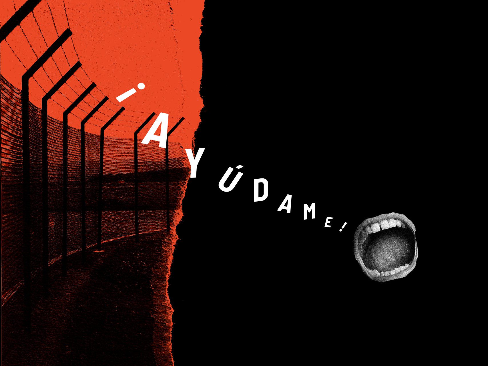 The Language Barriers to Health Care in Prison – Borderless Magazine NFP